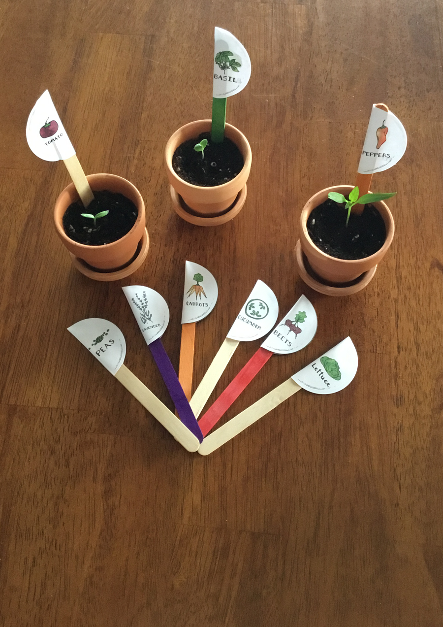 Plant Labels to Inspire You